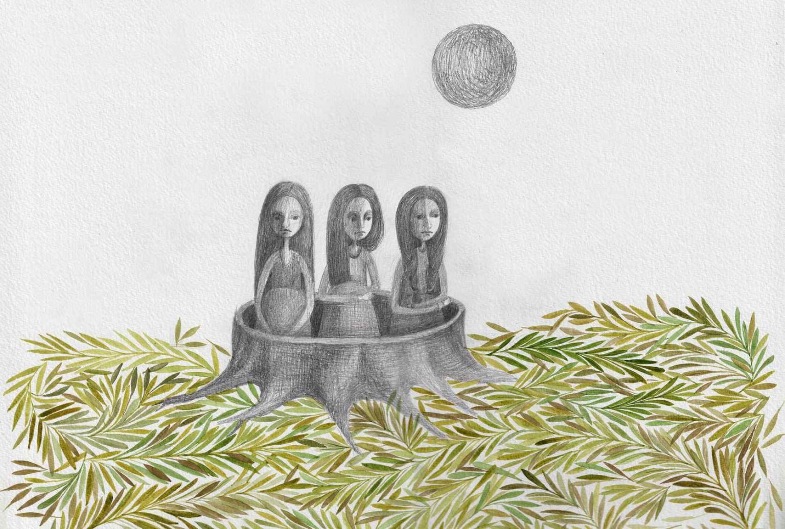 Sinonimele - dridriana.ro